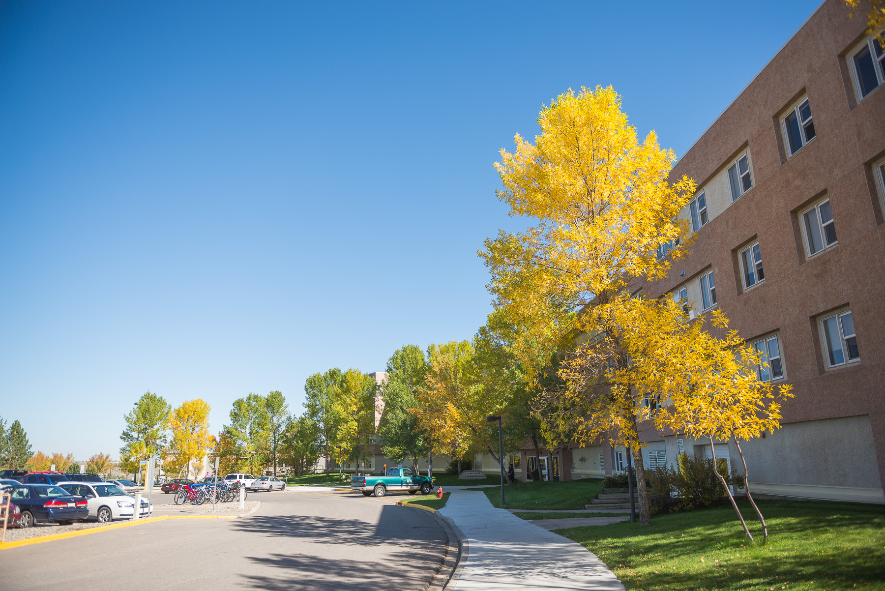 Our Campus – Inspiring Lights