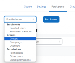 Creating and Using Groups - Moodle Answers